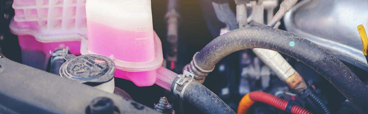 At Your Service | Seasonal Car Care Tips
