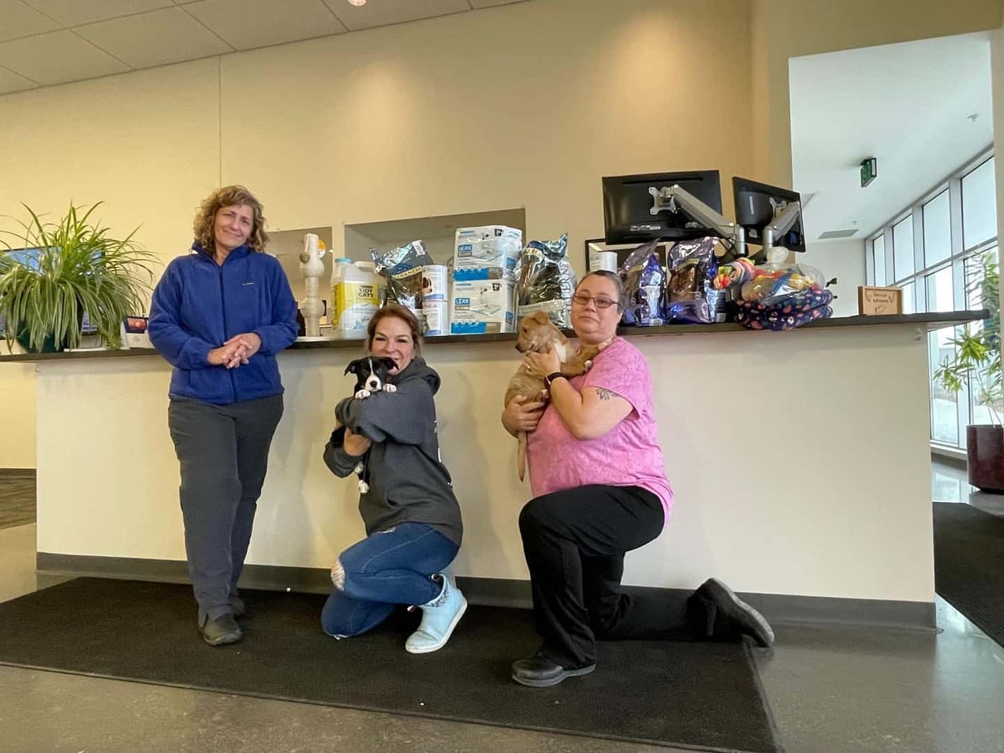 Pet Supply Donation to AK Cat and Dog Rescue | Kendall Auto Alaska