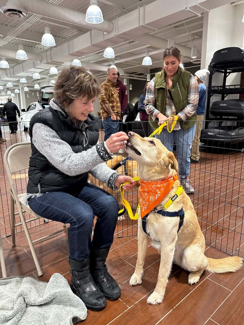 Pet Adoption Event with Golden Retriever Rescue of Fairbanks | Kendall ...