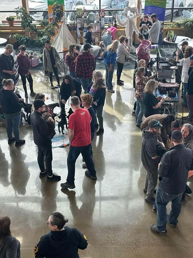 Helping 13 Pets Find Their Forever Homes at the 3rd Annual Pet Adoption ...