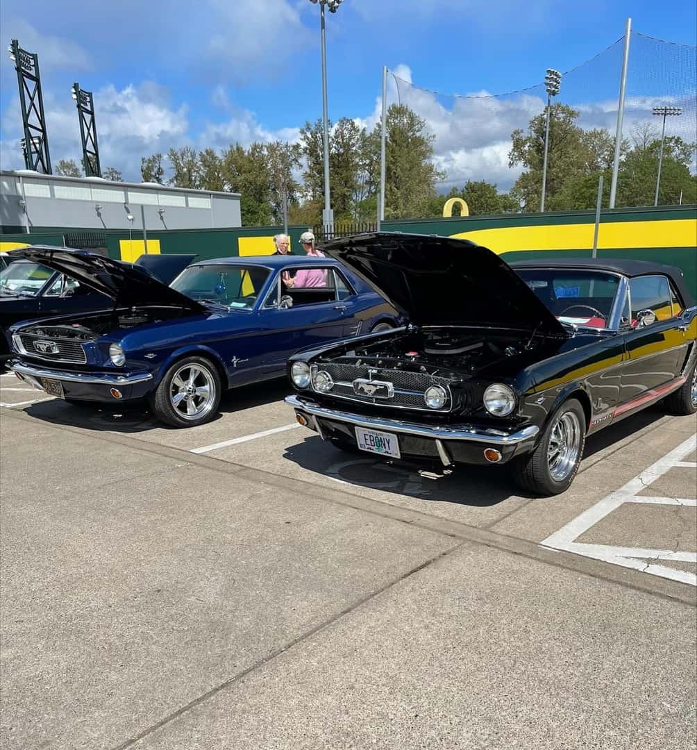 Kendall Cares - Party With A Purpose | Kendall Auto Oregon