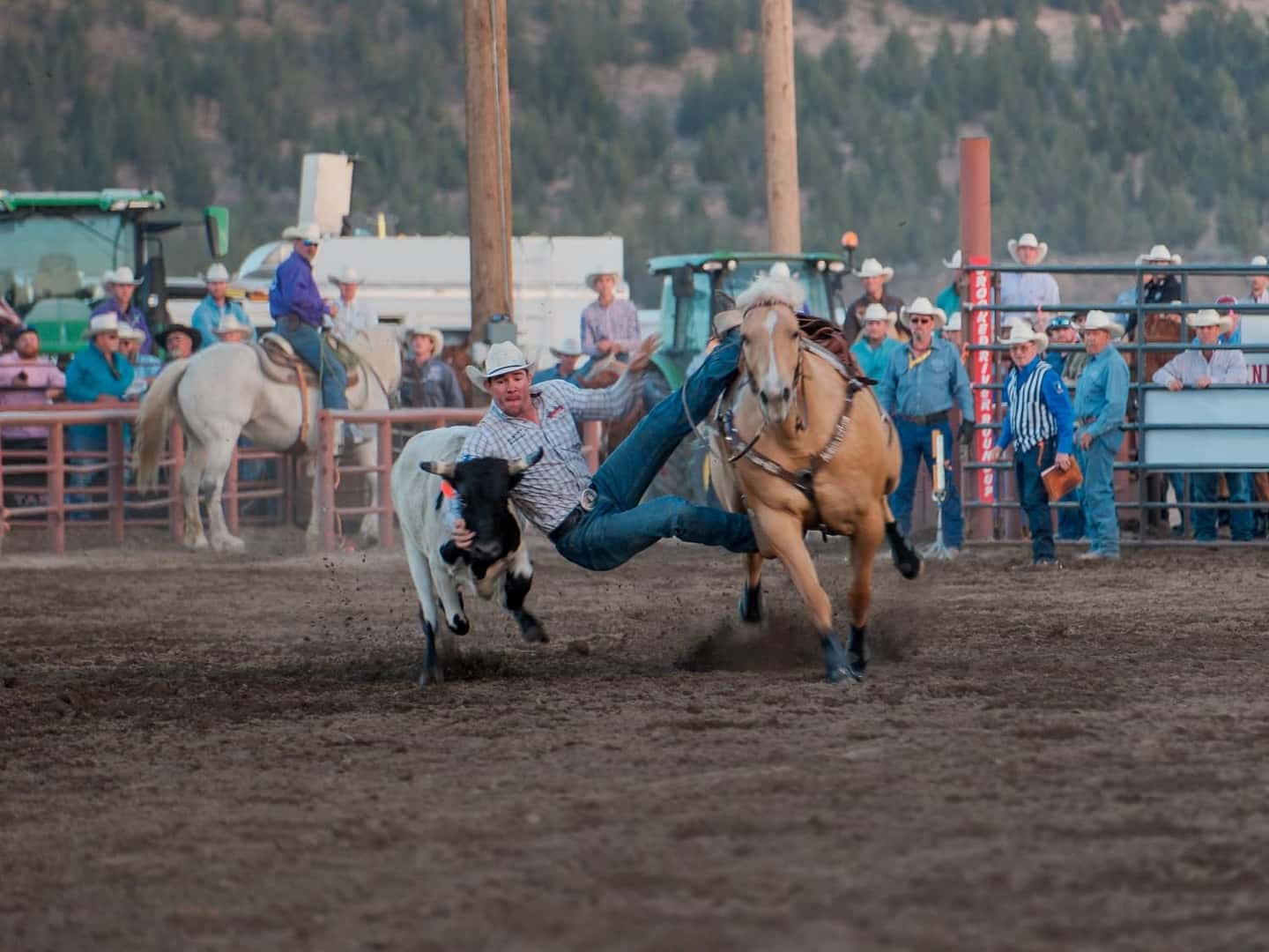 Not our First Rodeo at the Crooked River Roundup Rodeo & Foundation ...
