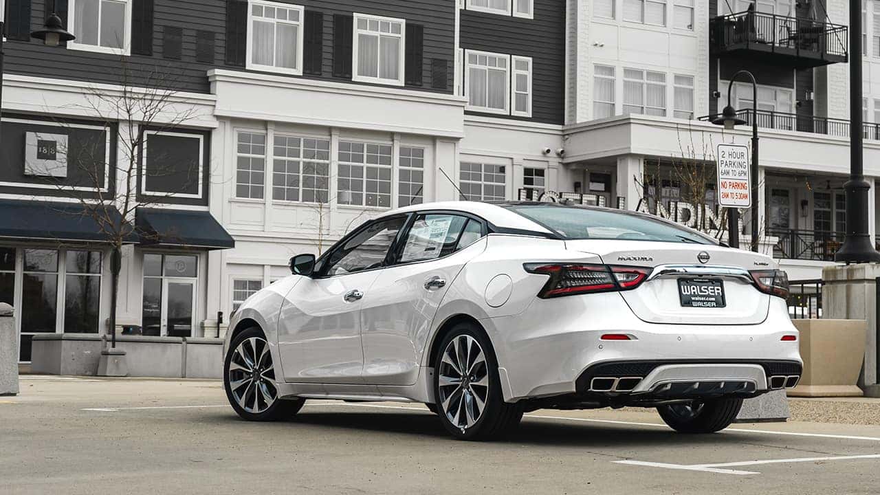 Nissan Maxima White Nissan Maxima Platinum 3D Model By AlphaGroup