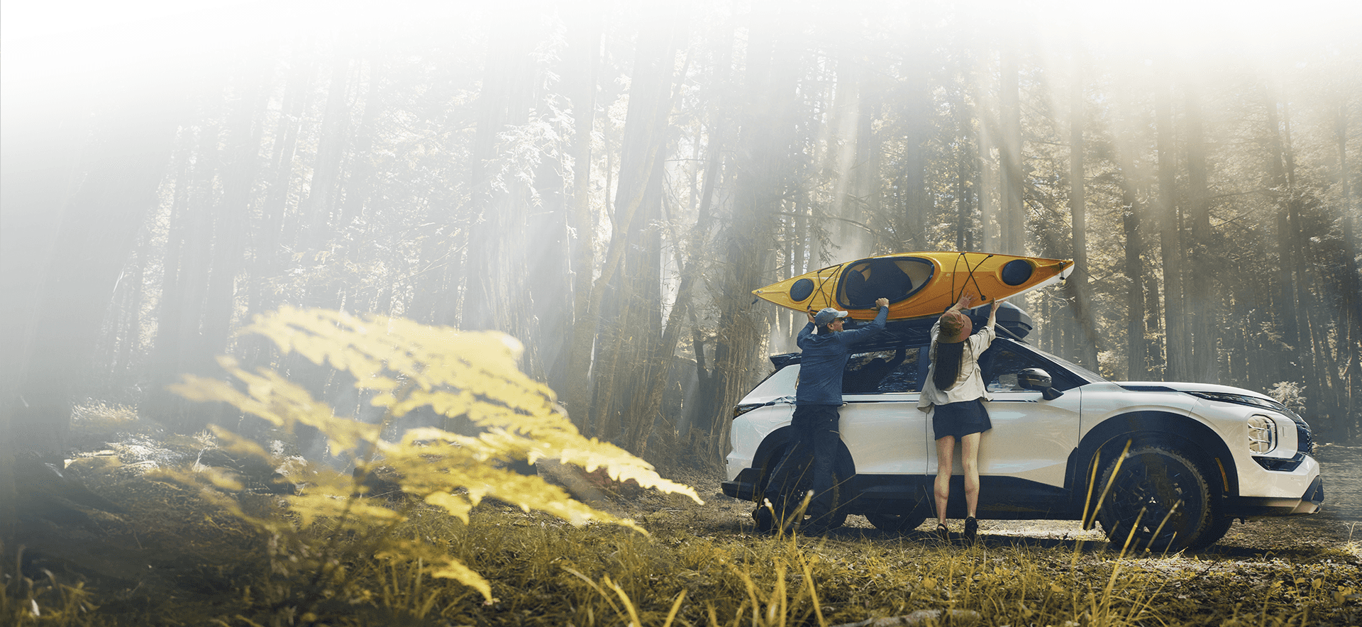 New & Used Cars For Sale in Minnesota | Walser Automotive Group