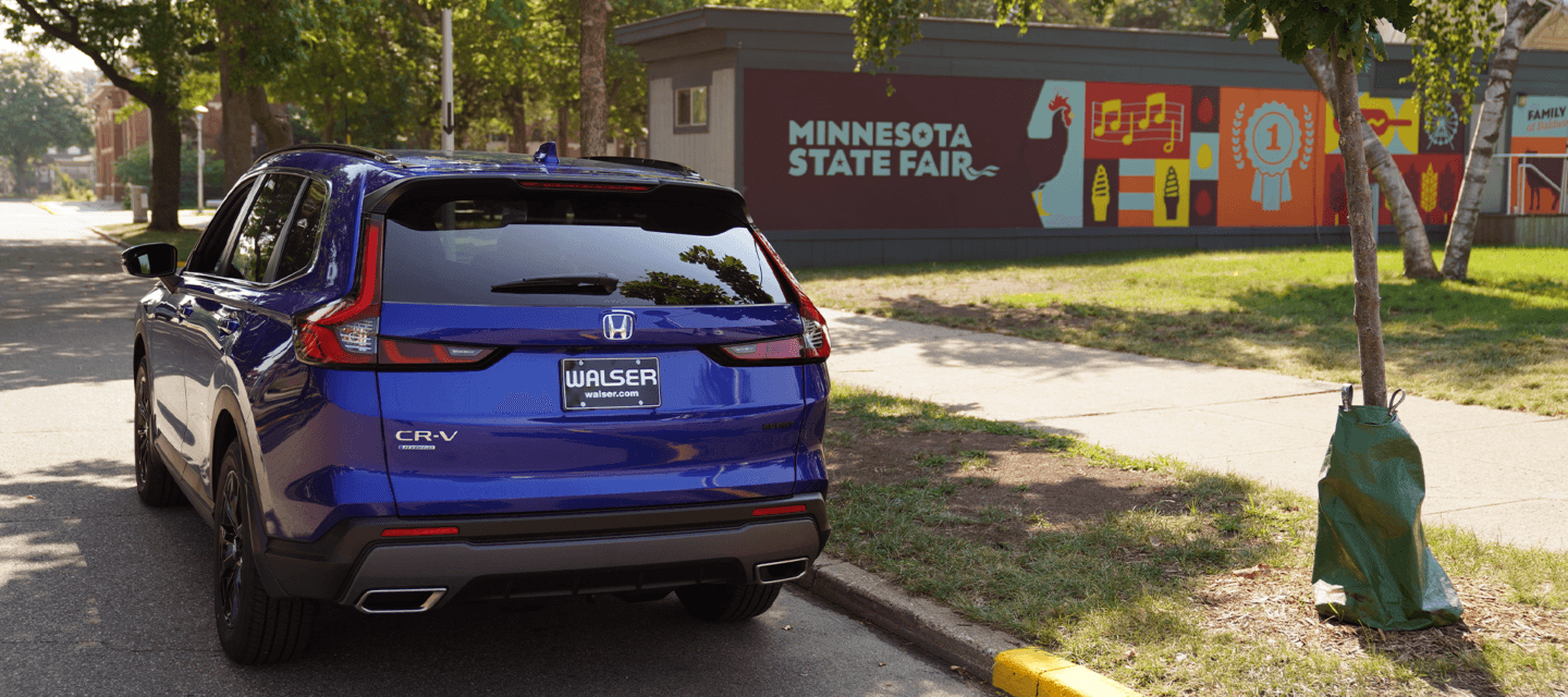 Experience the 2024 Minnesota State Fair with Walser’s Deals on a Stick ...
