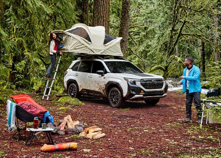 TikTok Found It First: The 2025 Subaru Forester's Coolest Easter Egg ...