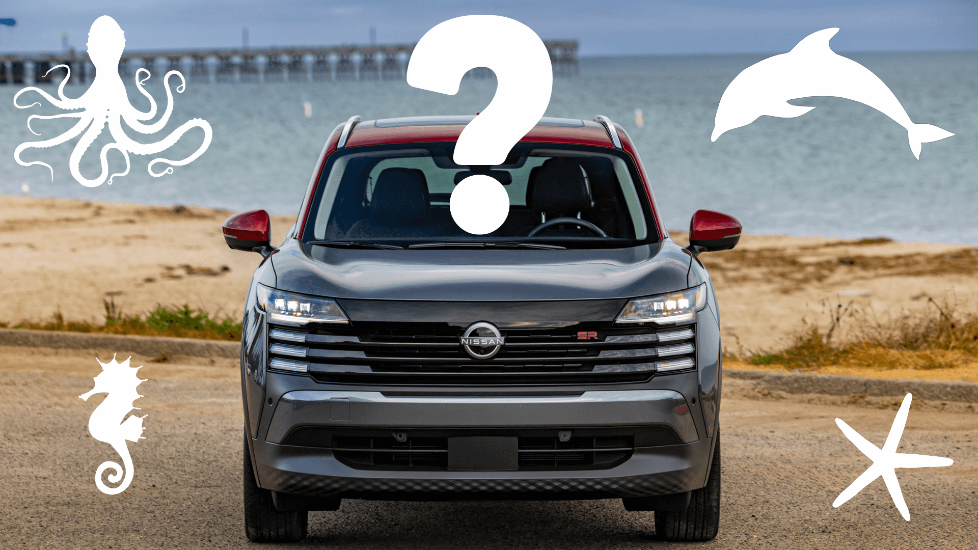 Nissan Cars as Sea Creatures | Walser Nissan Wayzata